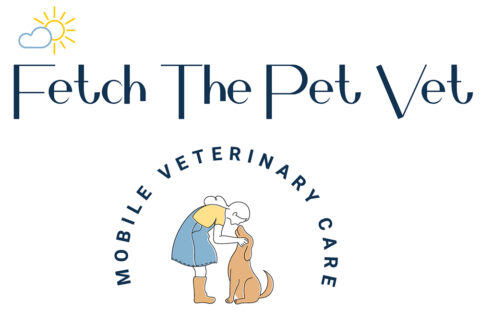 Best Mobile Vet Clinic In Flagstaff, AZ | Fetch The Pet Vet