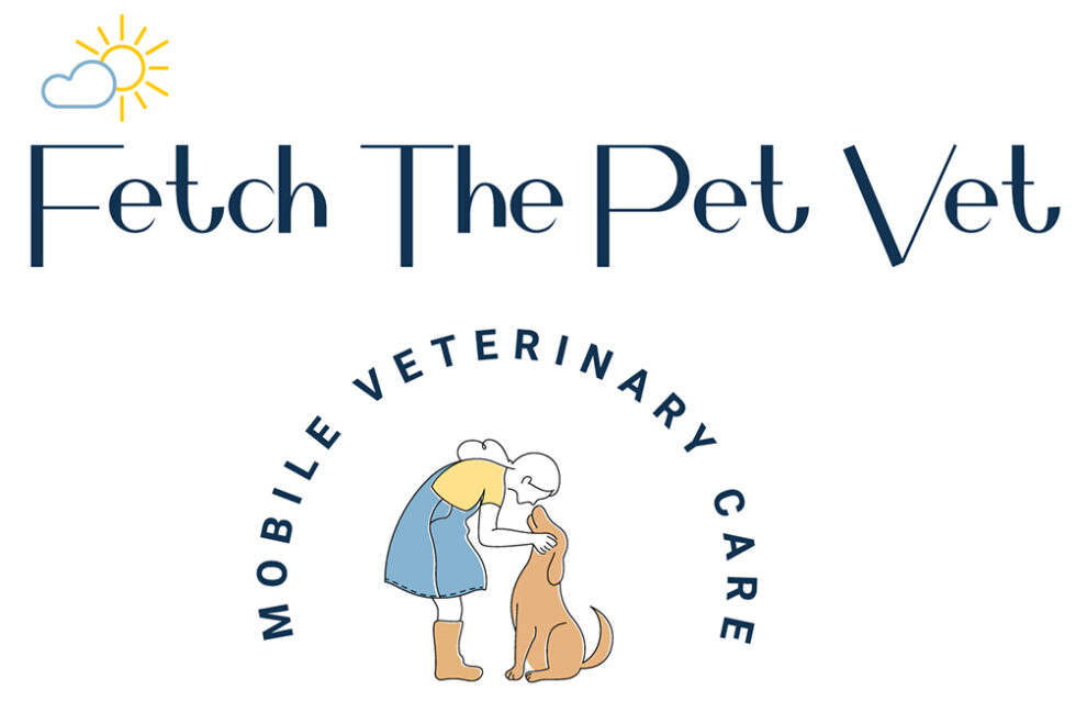 About Fetch The Pet Vet | Vet In Flagstaff, AZ 80206